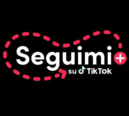 Arriva anche in Italia "Seguimi", il programma educativo di TikTok per ...